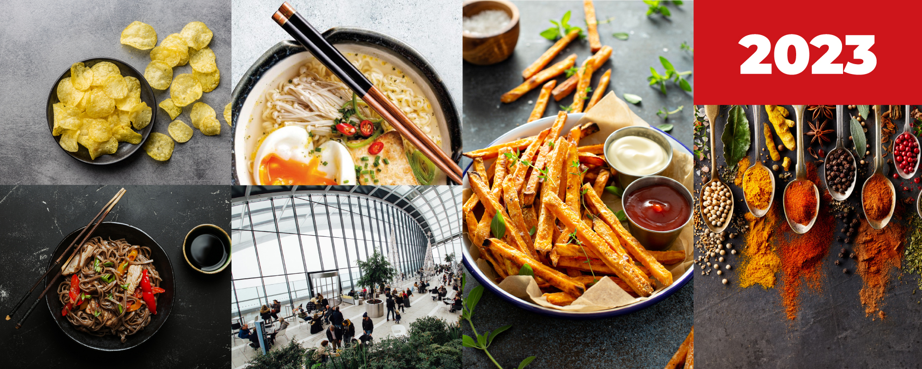 Après l'exploit de 2023, cap sur 2024 ! | Food Ingredients Technologies